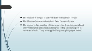 TONGUE ppt.pptx