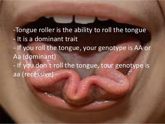 ToguTongue roller frn