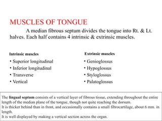 tongue , function , neural pathway , clinical application ,references ...