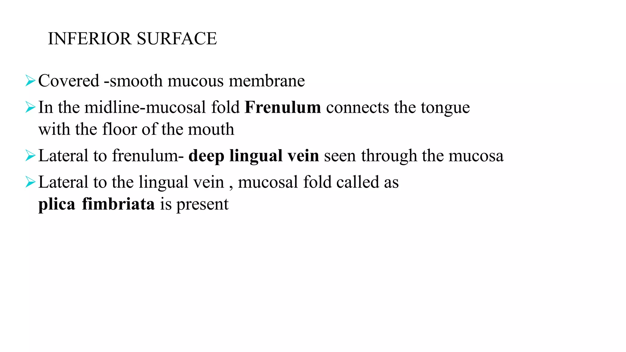 Anatomy of Tongue | PPTX