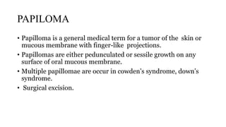 Anatomy of Tongue | PPTX