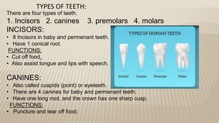 tongue teeth lymph.pptx