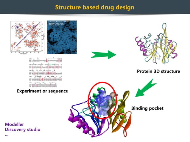 Tong Zhu, Computer Aided Drug Design.pdf | Pharmaceutical Industry ...
