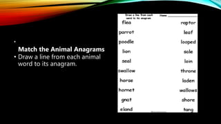 Tonight is just for fun | PPT