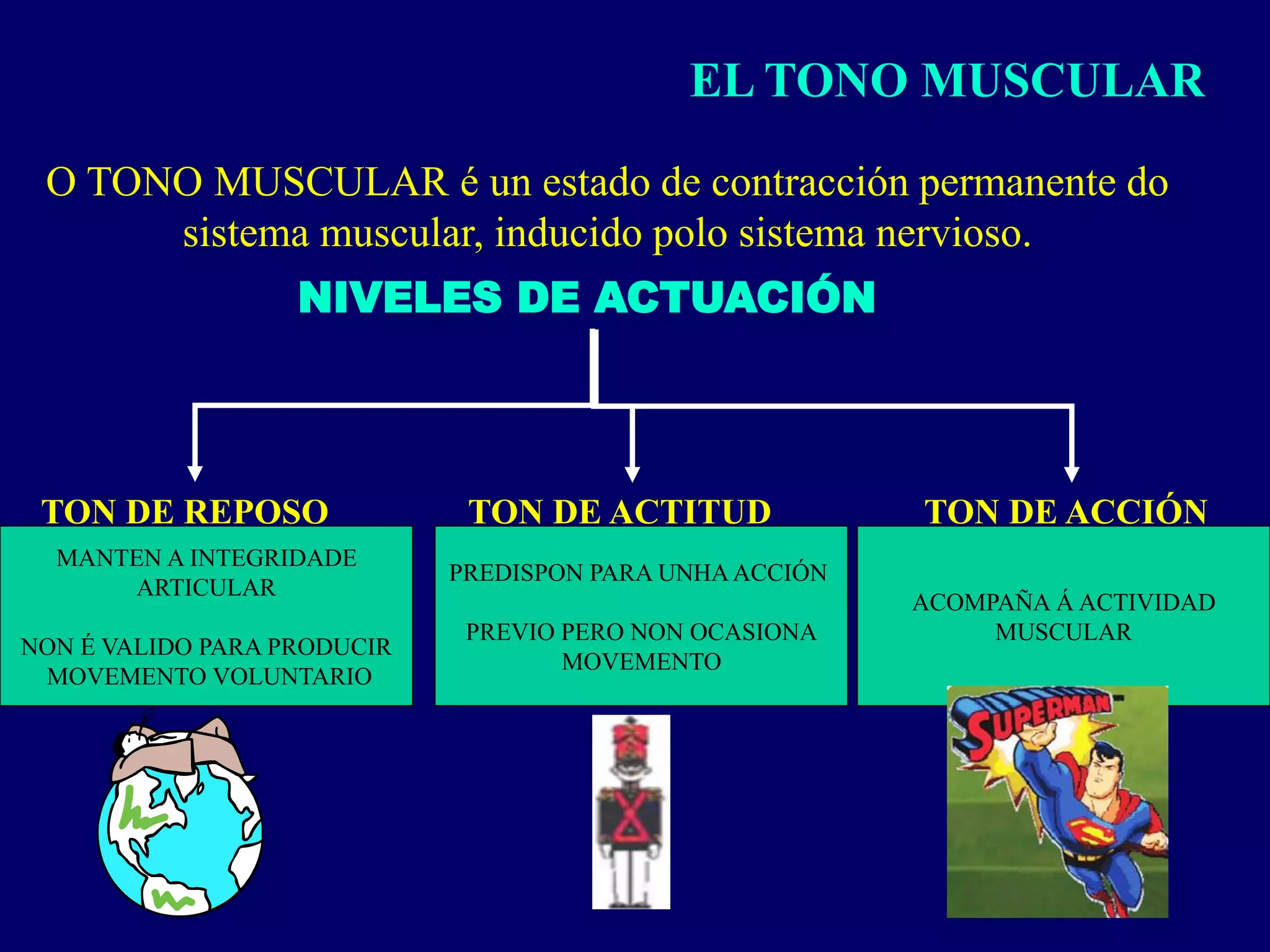 Ton muscular | PPTX