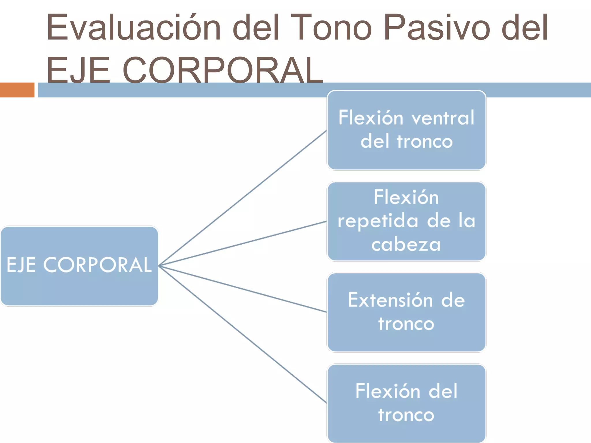 Tono muscular | PPT