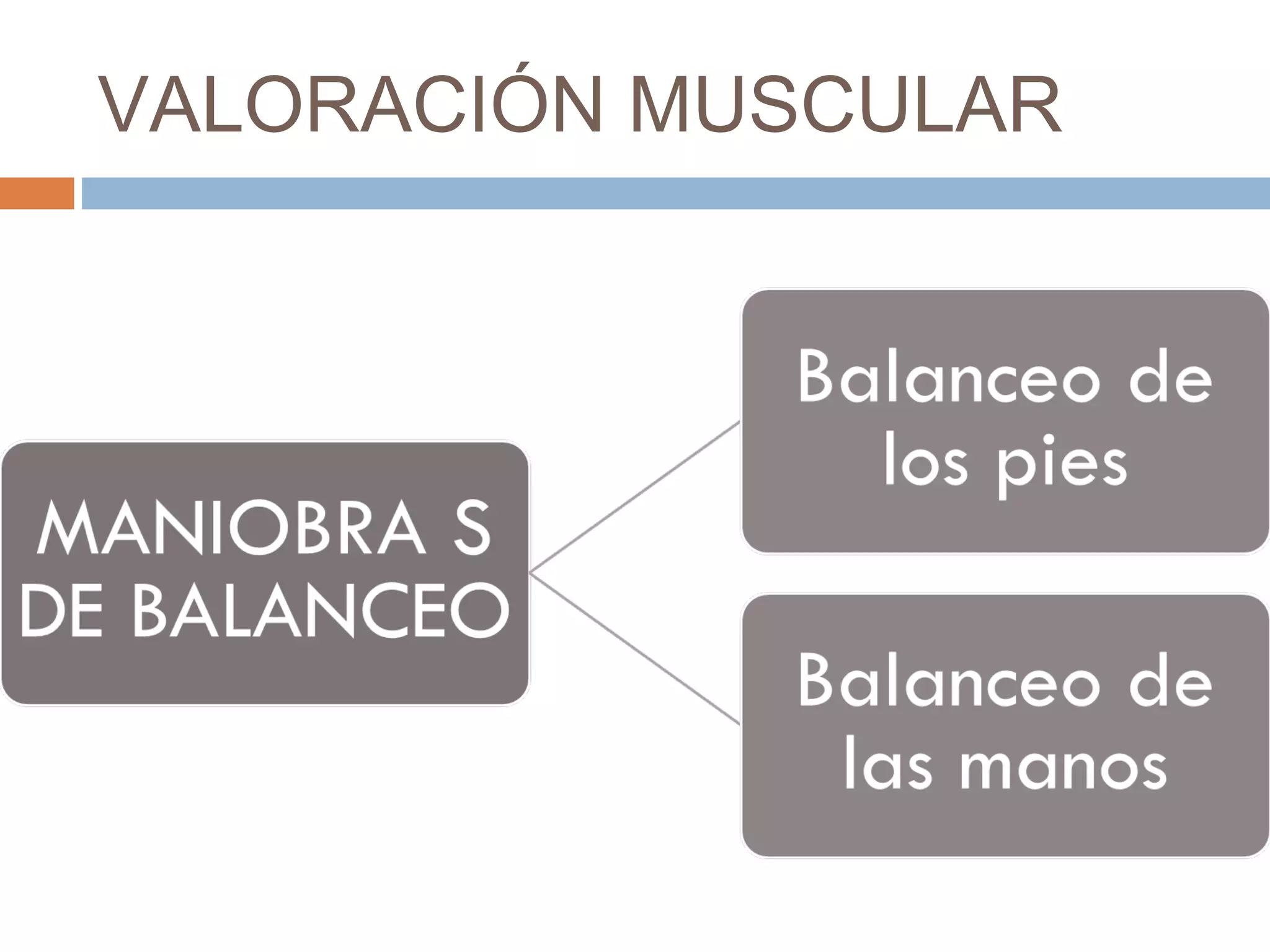 Tono muscular | PPT