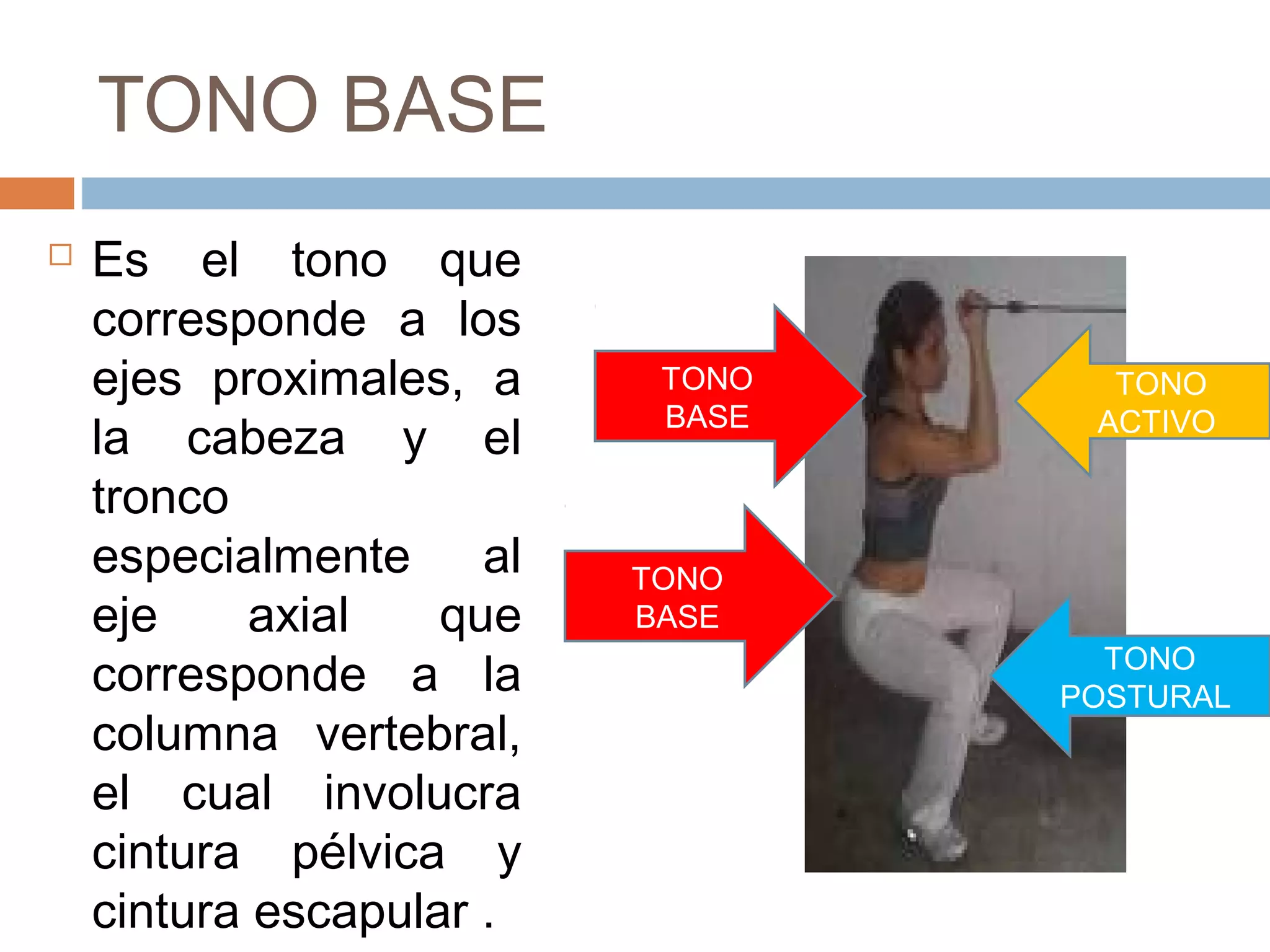 Tono muscular | PPT