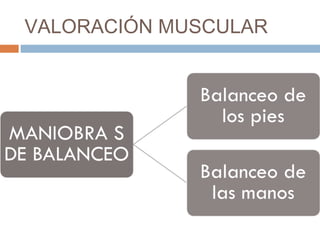 Tono muscular | PPT
