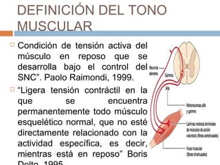 Tono muscular | PPT