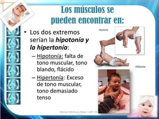Tono muscular evaluación - claudine amiel - tison y albert grenier | PPSX