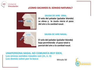 Tono, timbre y color de la voz | PDF