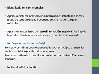 Clase de tono y trofismo muscular .pptx