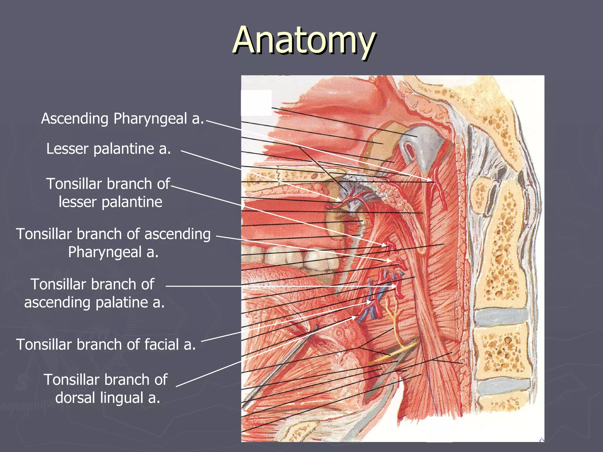 Special situations in tonsil and Adenoid disorder Special situations in ...