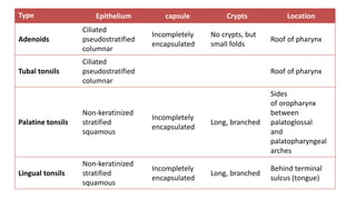 Tonsil | PPT | Free Download