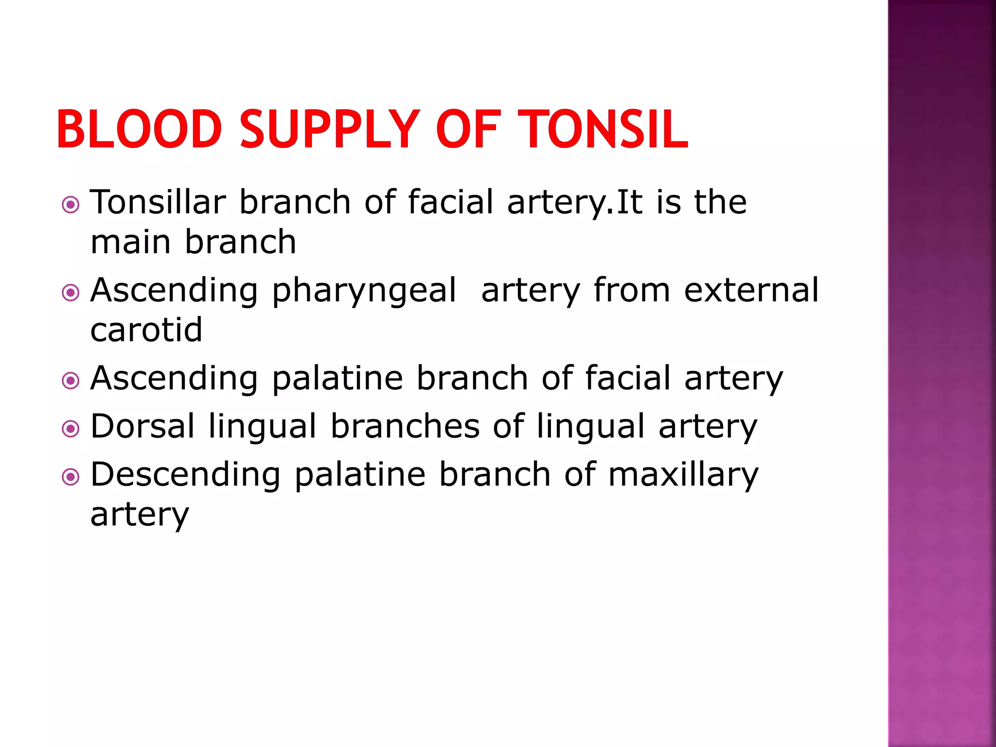 Tonsil anatomy and acute tonsil | PPTX