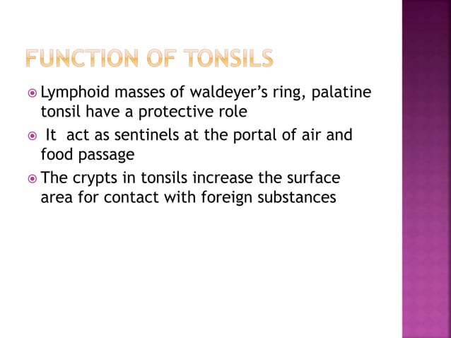 Tonsil anatomy and acute tonsil | PPTX