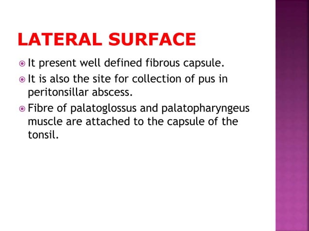 Tonsil anatomy and acute tonsil | PPTX