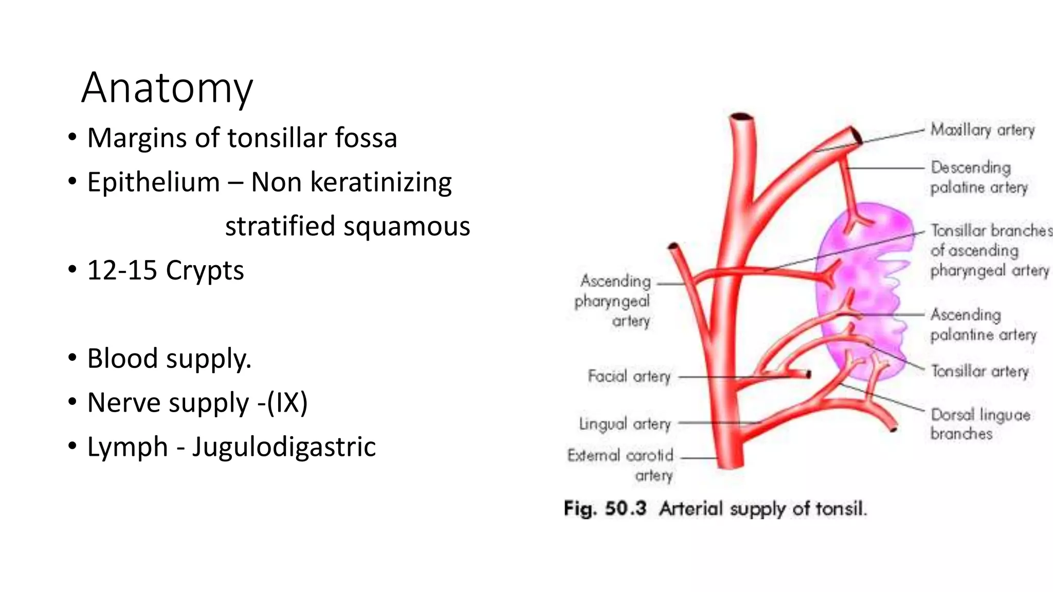 Tonsilar disease | PPTX