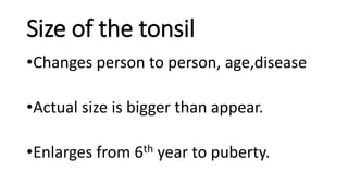 Tonsilar disease | PPTX