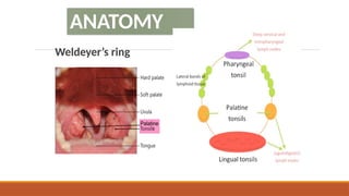 Tonsillar diseases and tonsillectomy .pptx