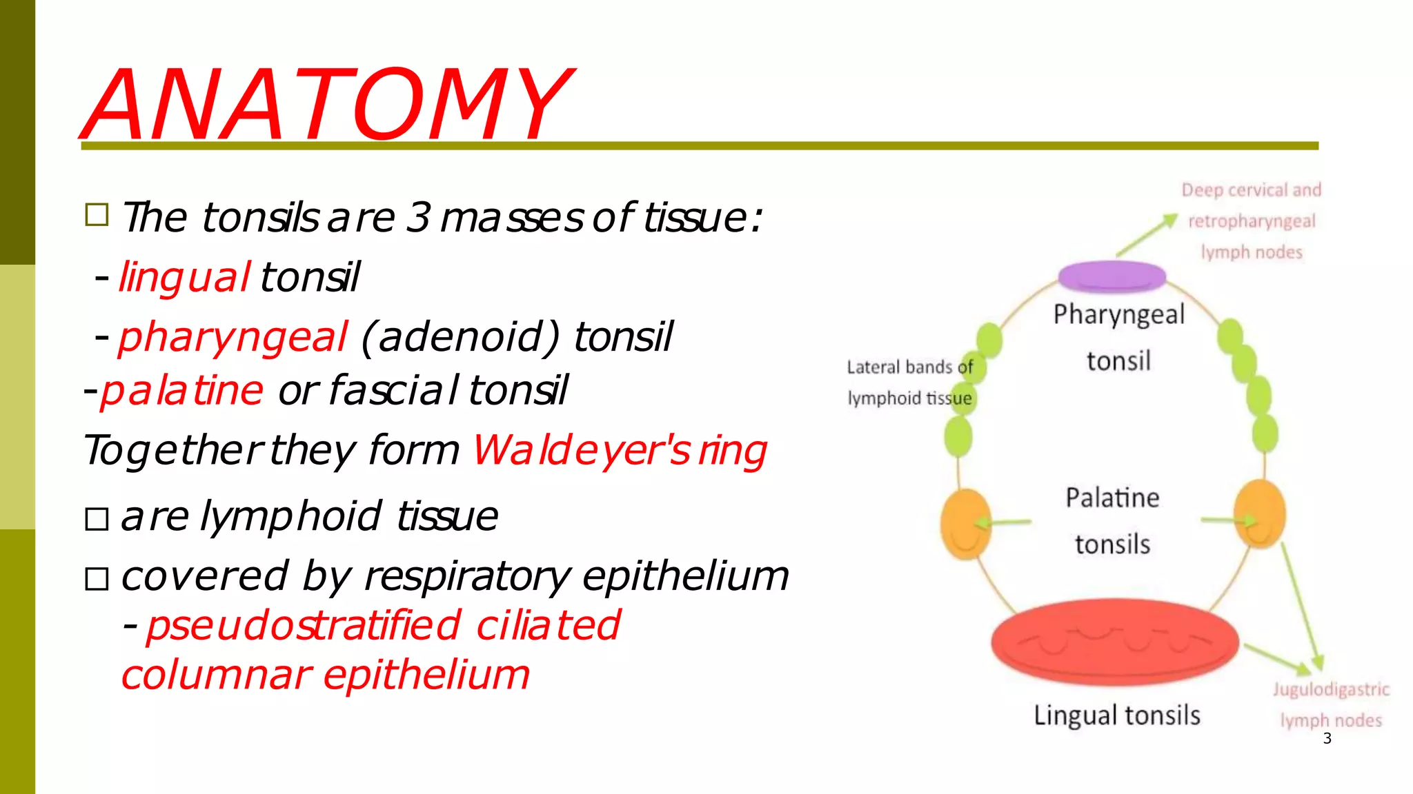 TONSILITIS.pptx