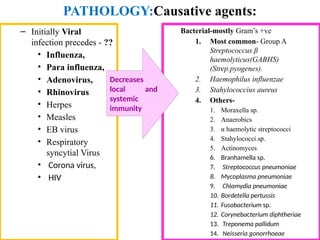 Tonsilitis: Anatomy, Physiology, Clinical Importance | PPTX