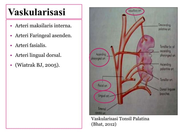 Tonsilitis Difteri_Vivi.pptx