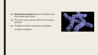 TONSILITIS Definition , types , causes , pathophysiology , riskfactors ...