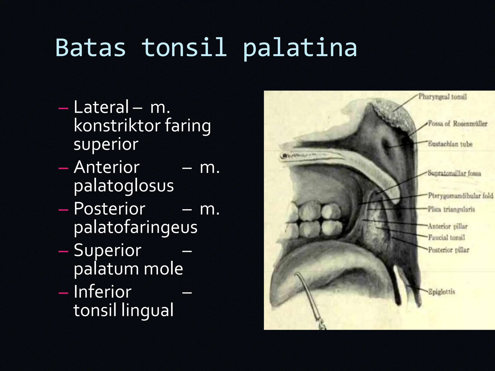 Tonsilitis pada Anak (Kapan harus operasi) - dr. Muslim Sp.THT-KL.pptx