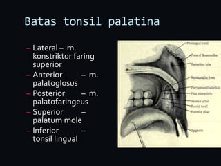 Tonsilitis pada Anak (Kapan harus operasi) - dr. Muslim Sp.THT-KL.pptx