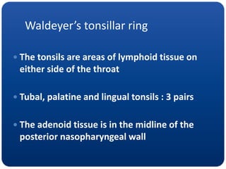 Tonsillectomy - anaesthetic consideration | PPTX