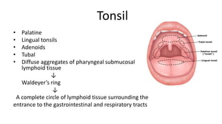 Tonsillectomy.pptx