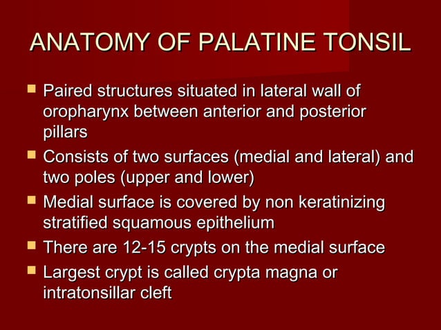 Tonsillitis | PPT | Ear, Nose and Throat Conditions | Diseases and ...