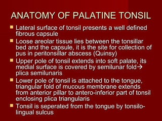 Tonsillitis | PPT