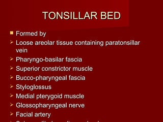 Tonsillitis | PPT
