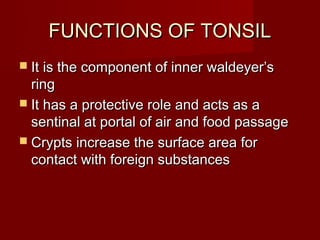 Tonsillitis | PPT