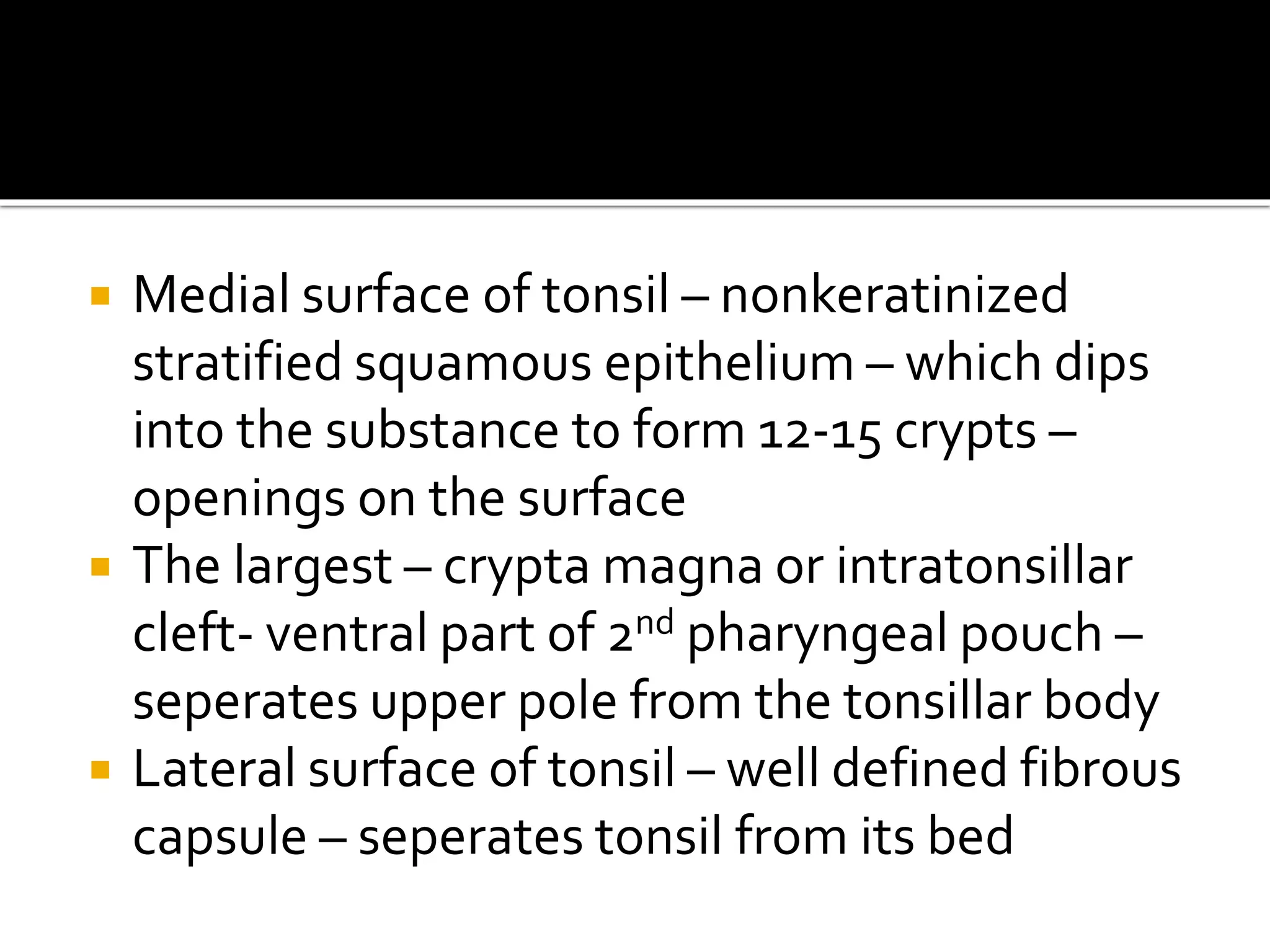 Tonsillitis | PPTX