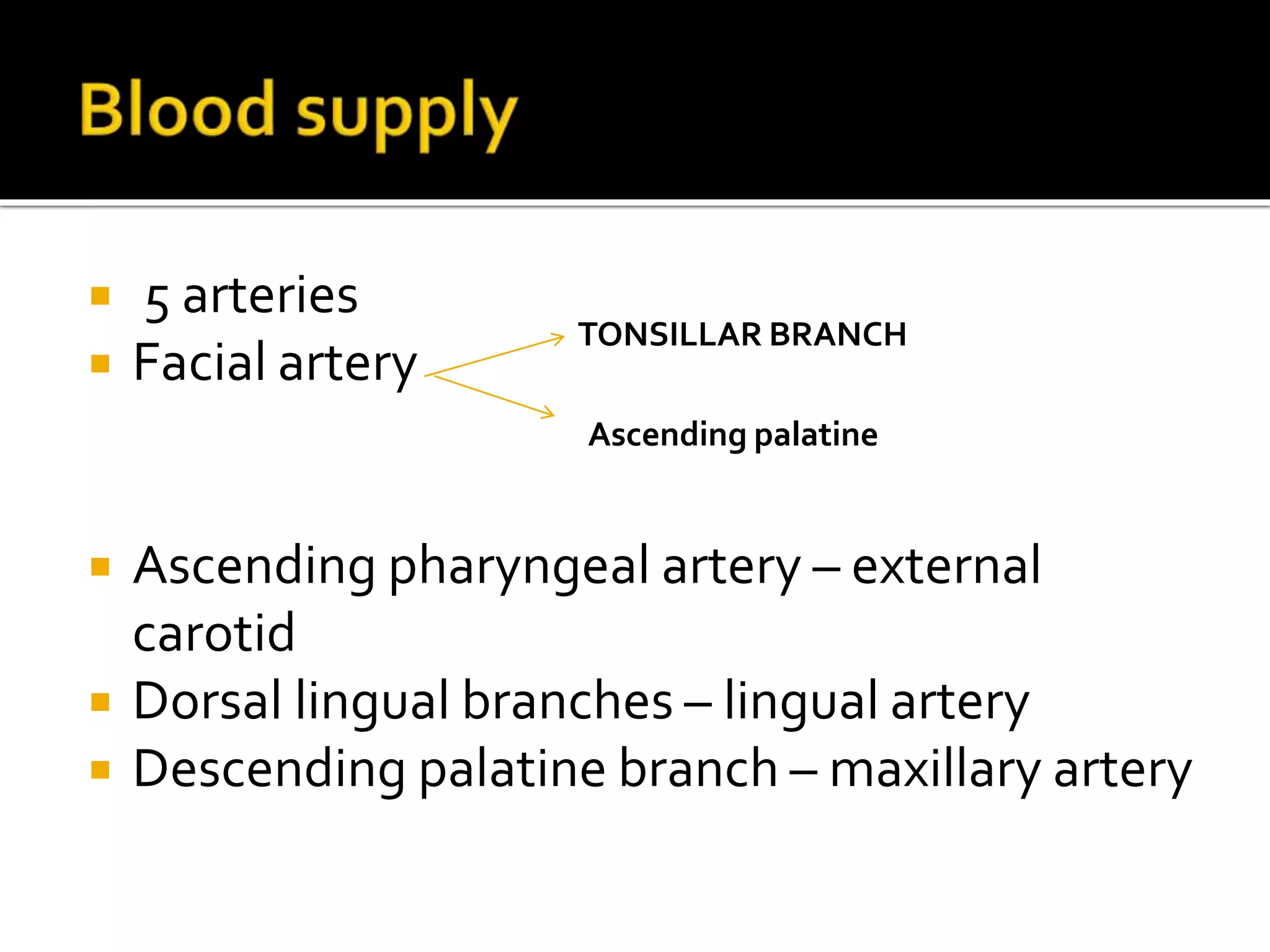 Tonsillitis | PPTX