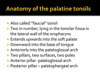 Tonsillitis | PPT