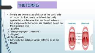 Tonsillitis slideshare for medical students | PPTX