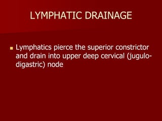 tonsillitis for nursing students at degree | PPT