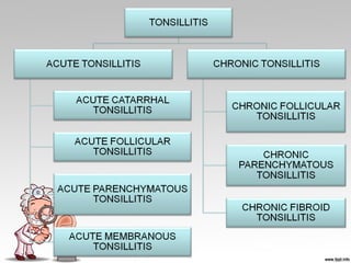 Tonsillitis case | PPT