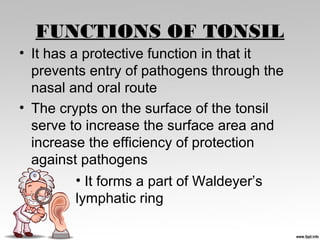 Tonsillitis case | PPT