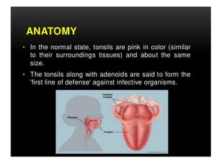tonsillitis 1.ppt........................ | PPT
