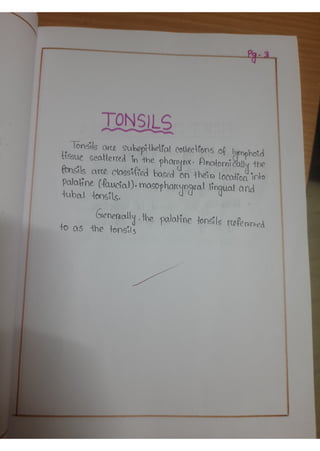 Medical surgical nursing-1 ASSIGNMENT- Tonsillitis // RGUSH Annual exam ...