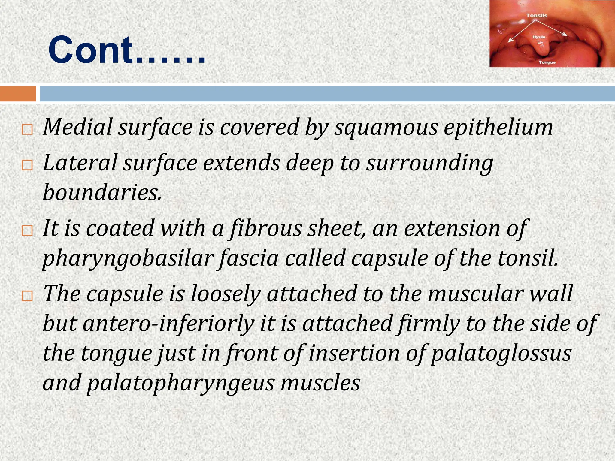 Nursing management of the patient with Tonsillitis PPT | PPTX