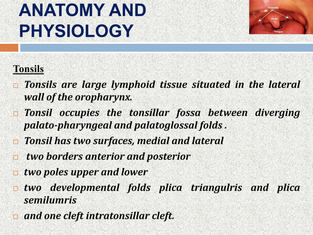 Nursing management of the patient with Tonsillitis PPT | PPTX