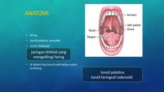 Tonsilofaryngitis, management dan penatalaksanaan.ppt
