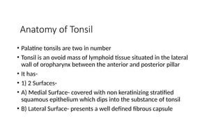 TONSIL infection of the tonsil it may be acute and chronic | PPT